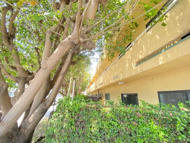 2724 Abbot Kinney Blvd. Studio Apartment for Rent at 2724 Abbot Kinney Blvd, Los Angeles, CA 90291 Venice