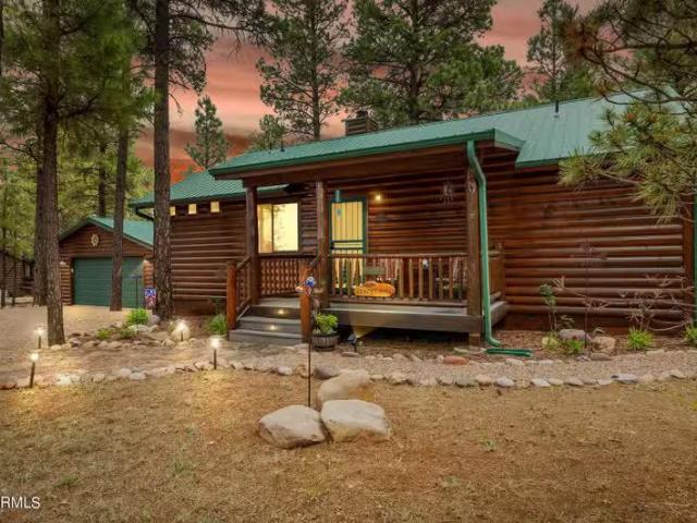 2727 Bain Trail, Overgaard, AZ 85933 MLS 6726344