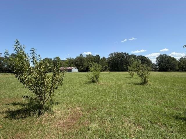 2727 Shady Hollow Dr, Mount Pleasant, TX 75455