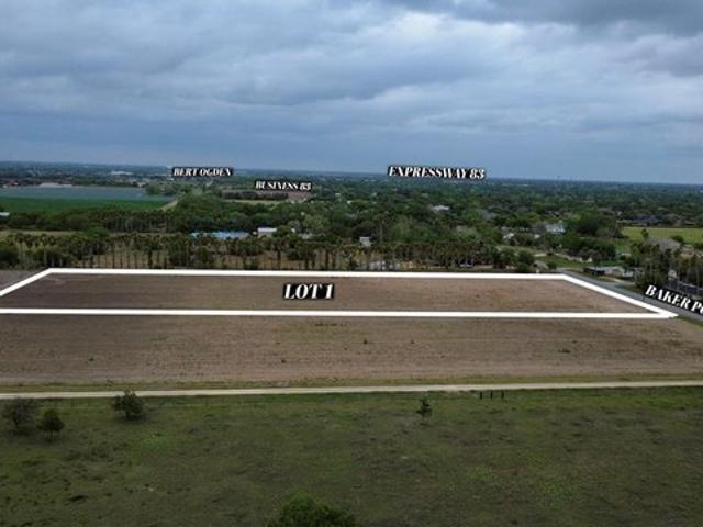 27288 Baker Potts Rd Lot 1, Harlingen, TX 78552