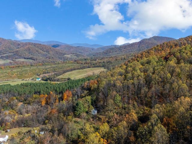 2728 E Branch Loop, Roseland, VA 22967 | MLS #670774