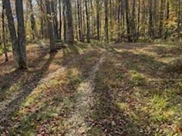 2728 2 / St, Birchwood, WI 54817 | MLS #7012