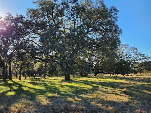 27215 Park Loop Road