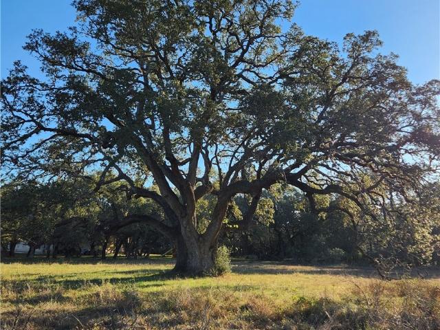 27215 Park Loop Rd, New Braunfels, TX 78132 | MLS #601305
