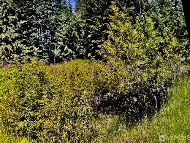2721 th Ave SW, Lakebay, WA 98351 | MLS #2423
