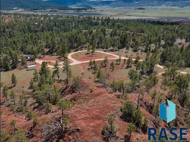 27222 Cody Rd, Edgemont, SD 57735