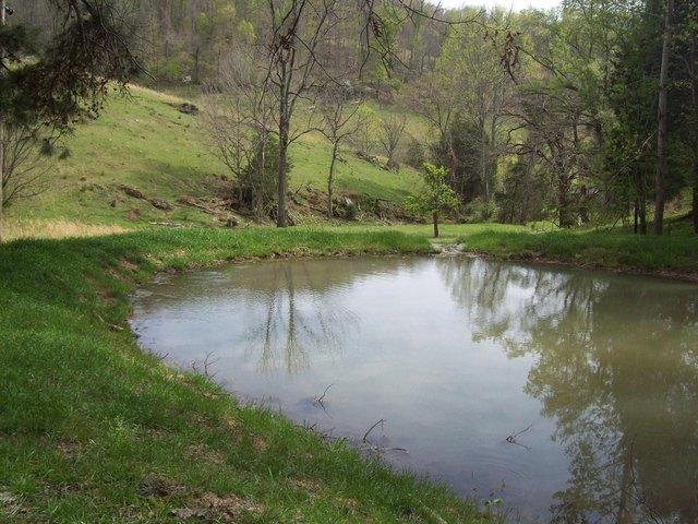 2722 Rebel Hollow Rd, Tazewell, TN 37879
