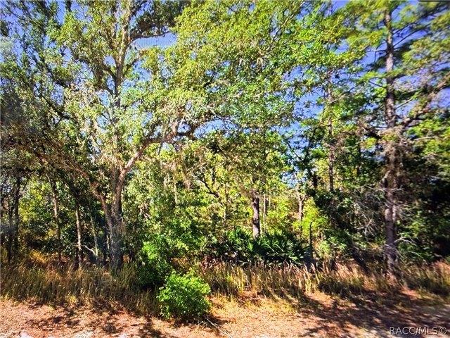 2722 W Pine Ridge Blvd, Beverly Hills, FL 34465