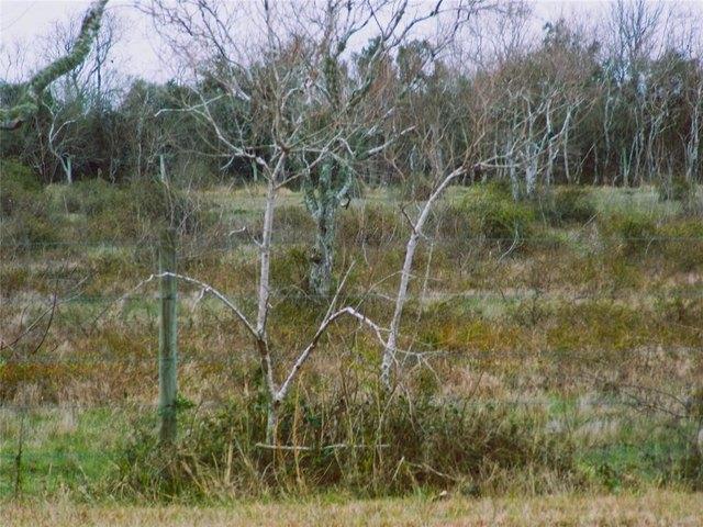27235 FM 2004 Rd, Angleton, TX 77515