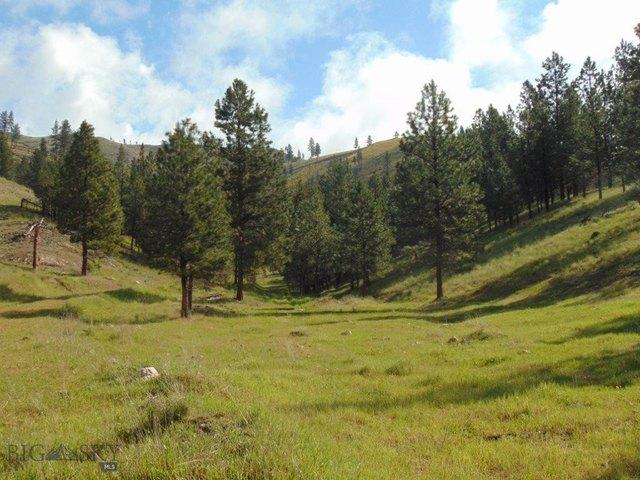 27235 Lazy Springs Rd, Clinton, MT 59825