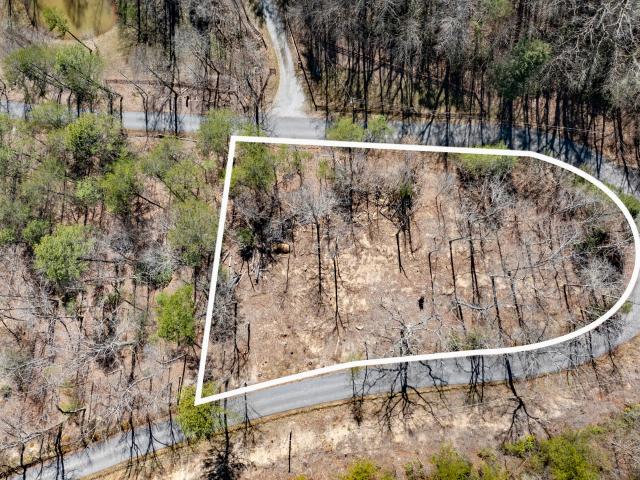 272 Cove Hollow Rd