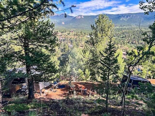 272 Wise Rd, Bailey, CO 80421