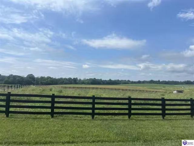 272 THOMPSON RD, RINEYVILLE, KY 40162 Vacant Land For Sale ML.