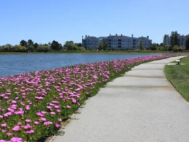 $2734 / 2br 1054ft² What a View! 2BR 1BA Newly renovated!