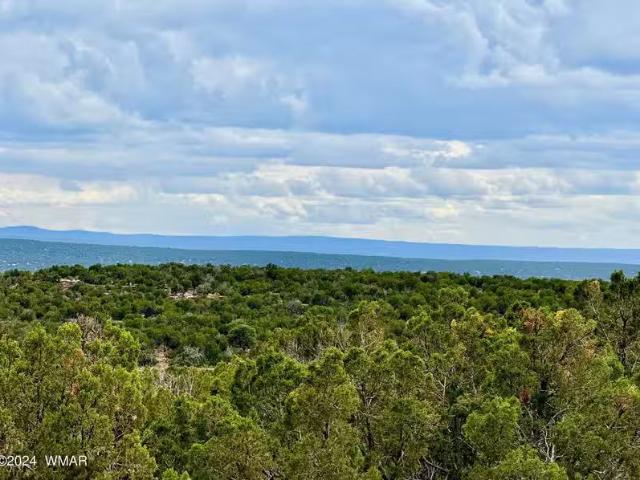 2736 Rebel Yell Rd, White Mountain Lake, AZ 85912 MLS 251752