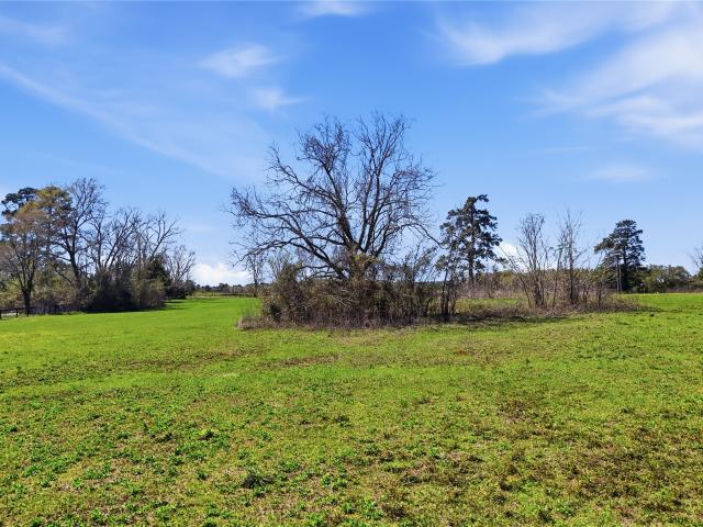27390 FM 1097 West