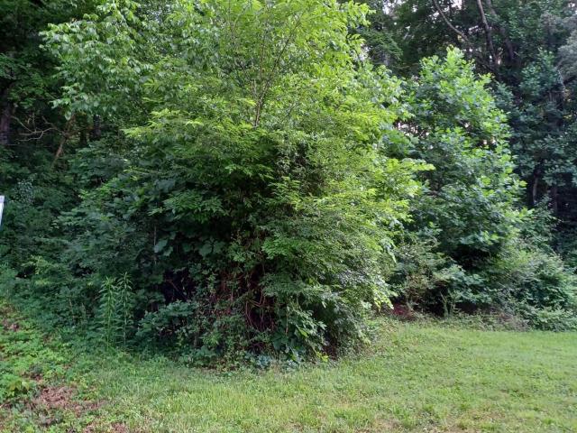 2732 Willocks Ave, Maryville, TN 37804 | MLS #1304