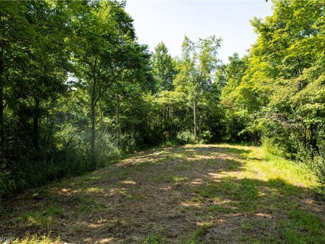 27339 Tabor Ridge Road
