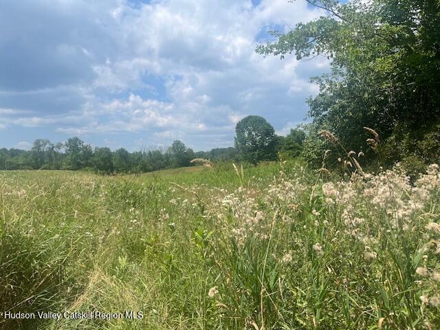 273 Clove Rd, Schodack, NY 12033 | MLS #20253 | Compass