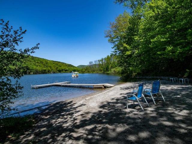 273 Birch Landing Rd Unit 23, Plymouth, VT 05056