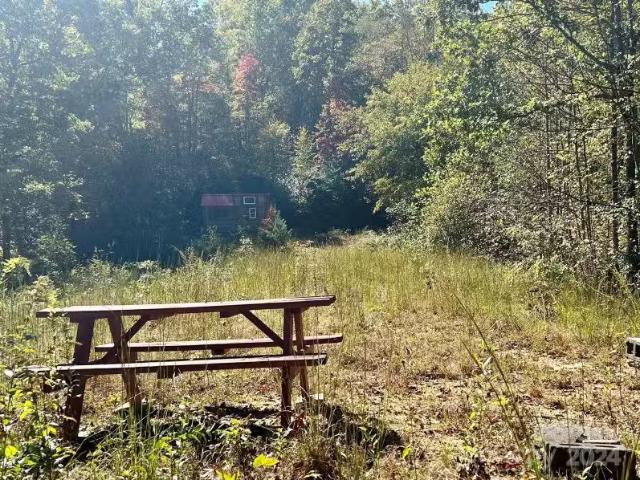 273 Lyman Ln, Rosman, NC 28772 MLS 4186497
