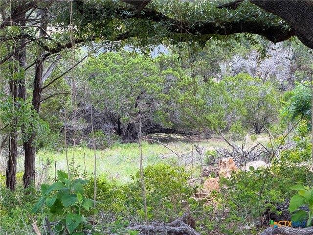 273 Scenic Dr Lot 383, Canyon Lake, TX 78133