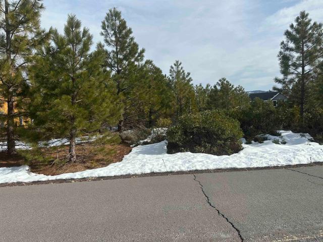 273 Walsh Ct, Lake Almanor, CA 96137 | MLS #2600