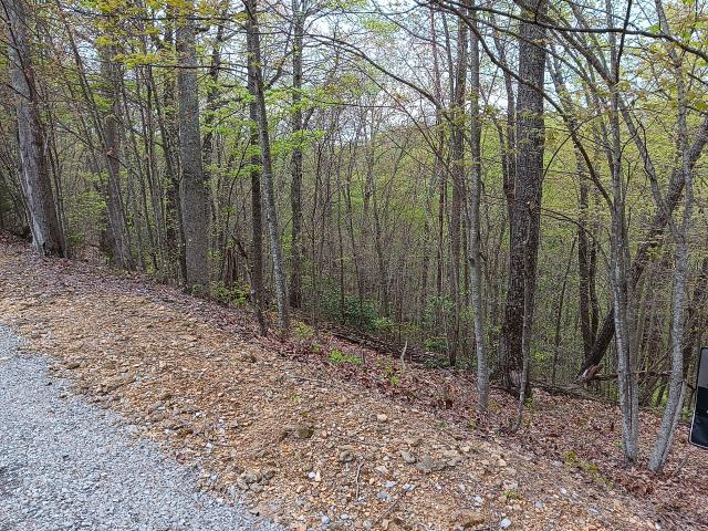 273 Tennis Ctr Dr, Smithville, TN 37166 | MLS #2818 | Compass