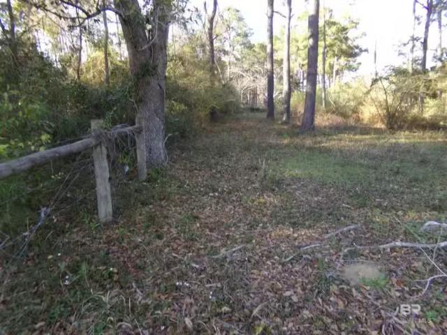 27451 BURKHARDT DR, ELBERTA, AL 36530 Vacant Land For Sale ML.