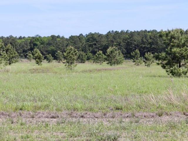 27480 Highway 365, Beaumont, TX 77705