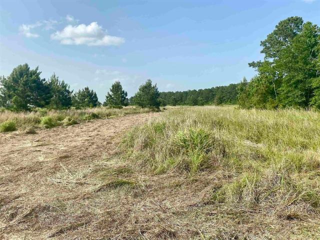 27480 Hwy 365 Road