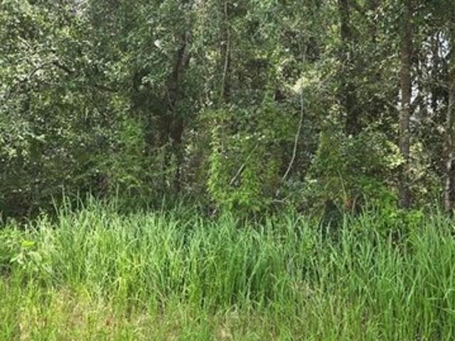 2749 Bear Fork Rd, Eight Mile, AL 36613