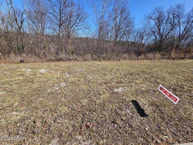 2749 Briaroaks Ln Unit 19, Joplin, MO 64804