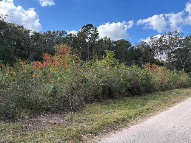 27404 Coral, Splendora, TX 77372 | MLS #37647 | Compass