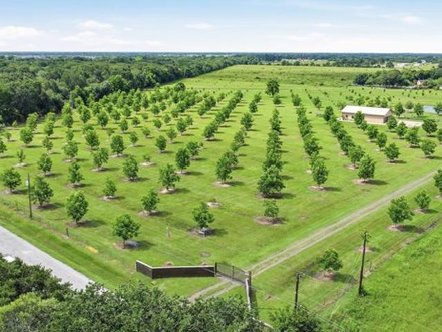 2740 Wehring Rd, Rosenberg, TX 77471