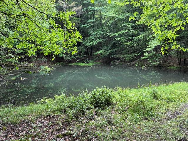 2741 Smith Hollow Rd, Hinsdale, NY 14760 | MLS #B1674