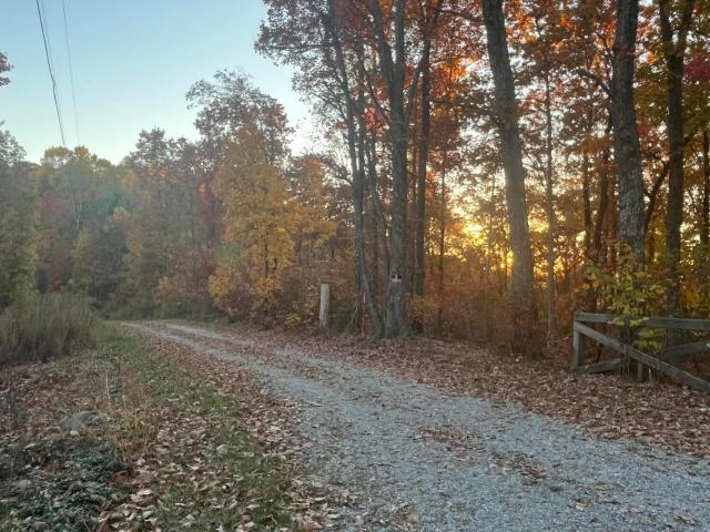 2742 Black Mountain Road