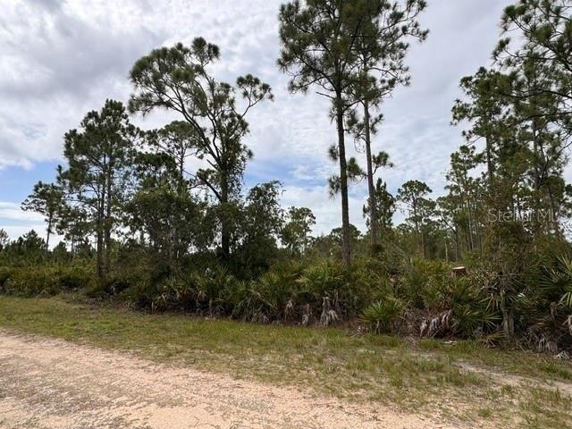 27430 Chrysalis Dr, Punta Gorda, FL 33955