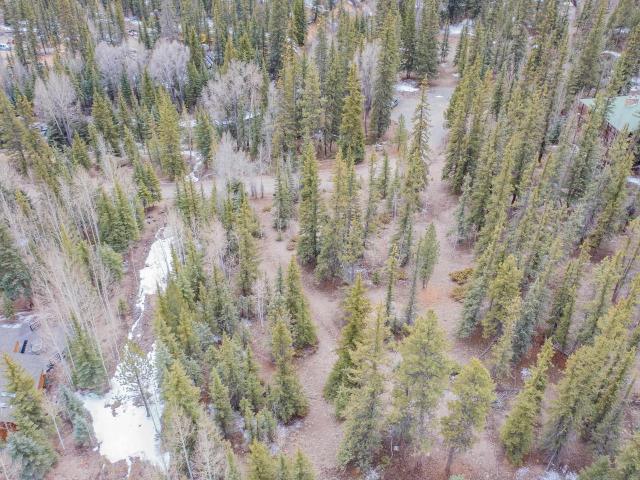 2743 Silver Coin Ln Lake, City, CO 81235 | MLS #809716