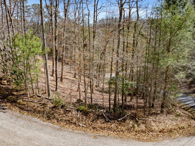 274 Cove Hollow Rd