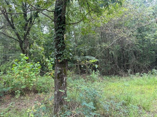 274 Galena Ridge Road