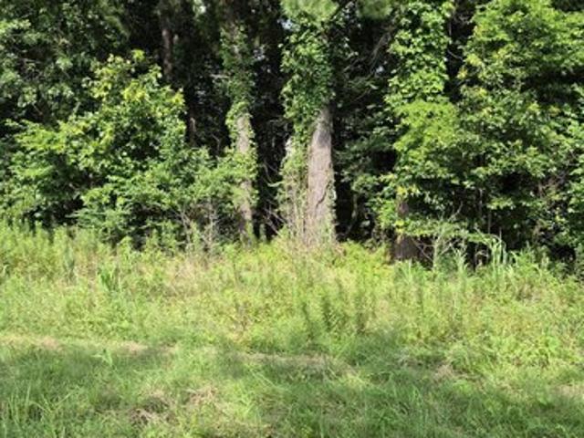 274 Hawkeye Dr Lot 274, Gilbertsville, KY 42044