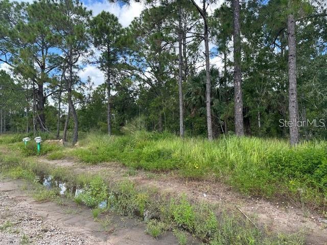 274 Spoonbill Dr, Kissimmee, FL 34759 | MLS #OM721641 | Compass