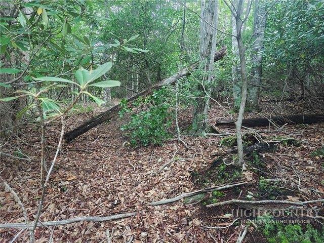 274 Poplar Dr, Beech Mountain, NC 28604