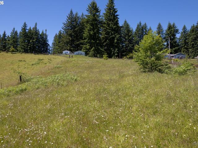 27546 clark rd