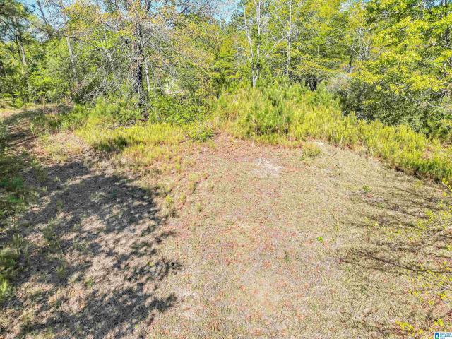 2755 County Road 53 # 1