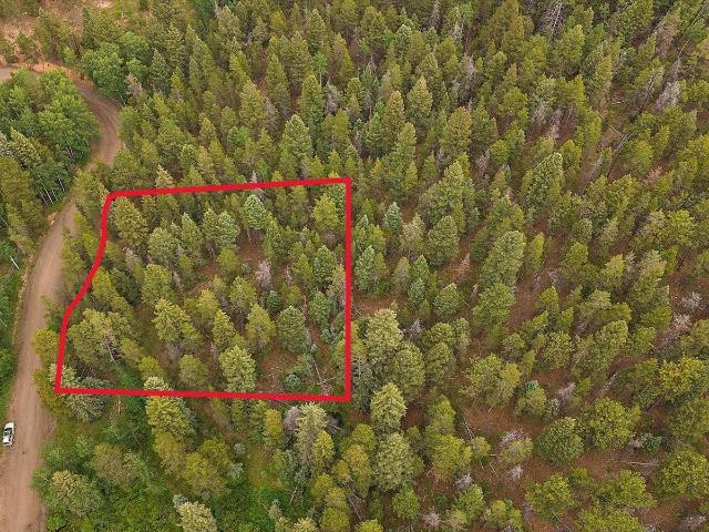 27578 S Timber Trail, Conifer, CO 80433 | MLS #2997