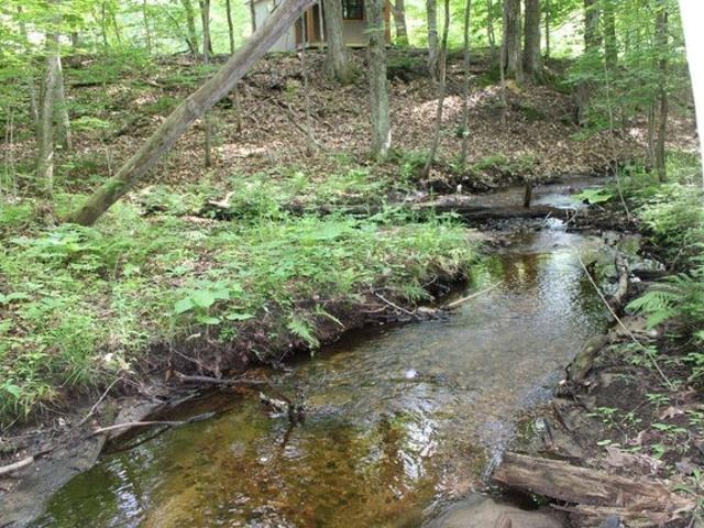 2750 NE Apple Creek Rd, Kalkaska, MI 49646