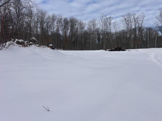 27536 Norway Trail