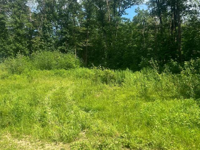 27536 Norway Trail